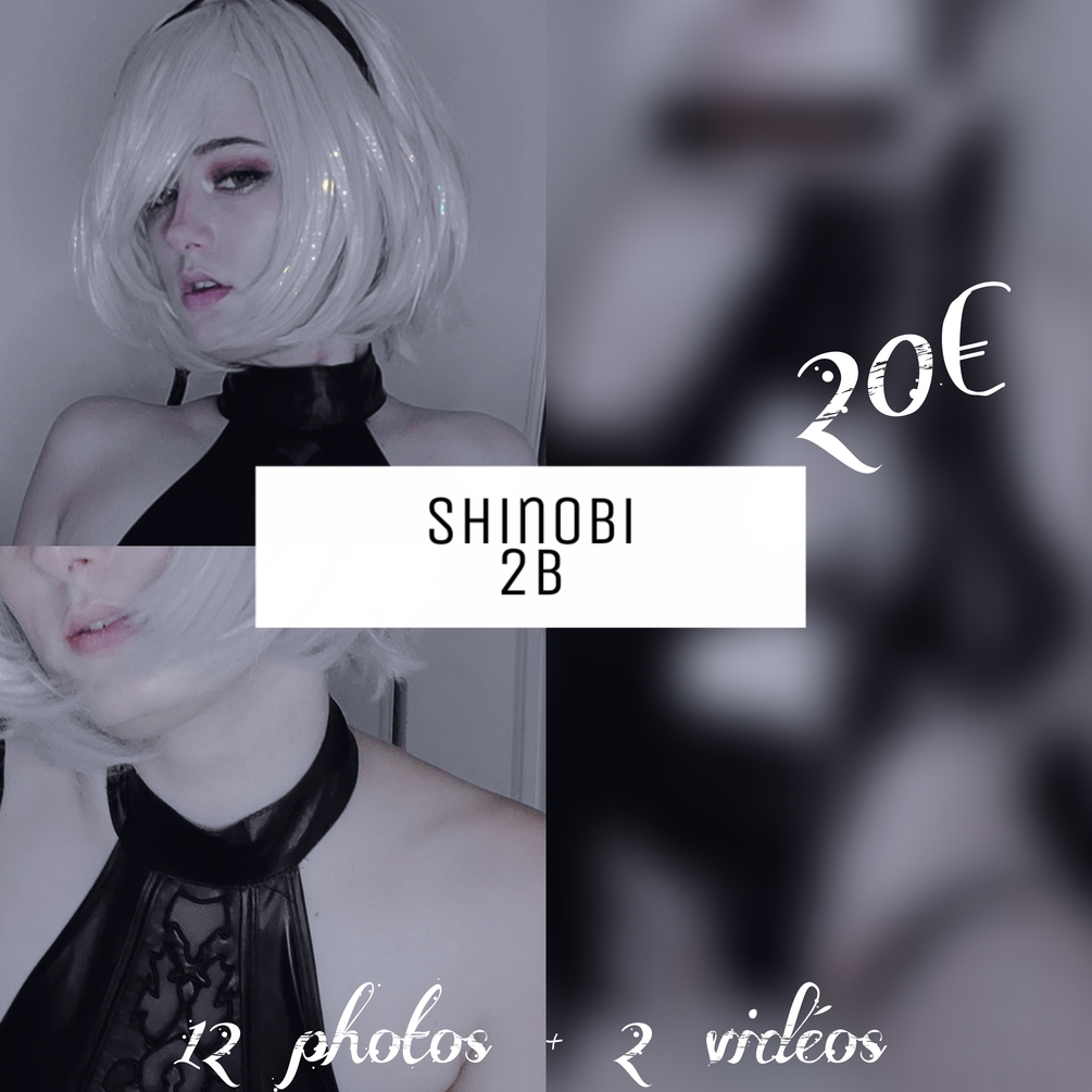 Shinobi 2B