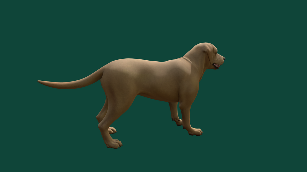 (FREE PRODUCT) Labrador Dog Game Ready Character 3D Model