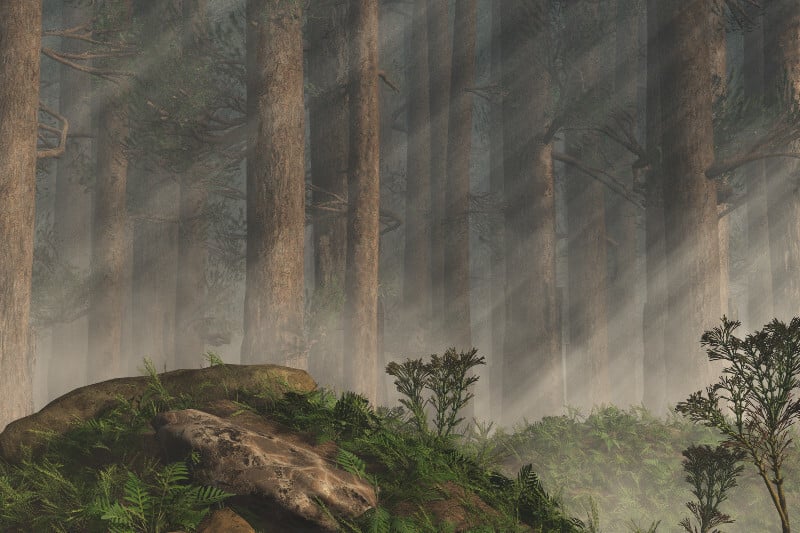 Steamy Jungle Digital Art Background