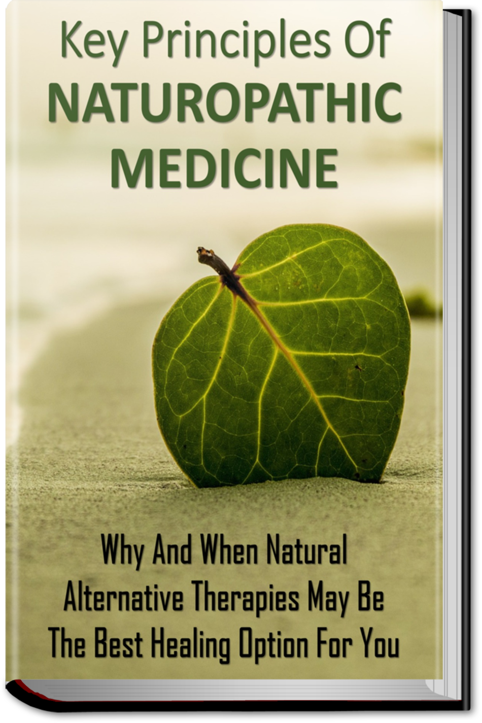 Key Principles Of Naturopathic Medicine
