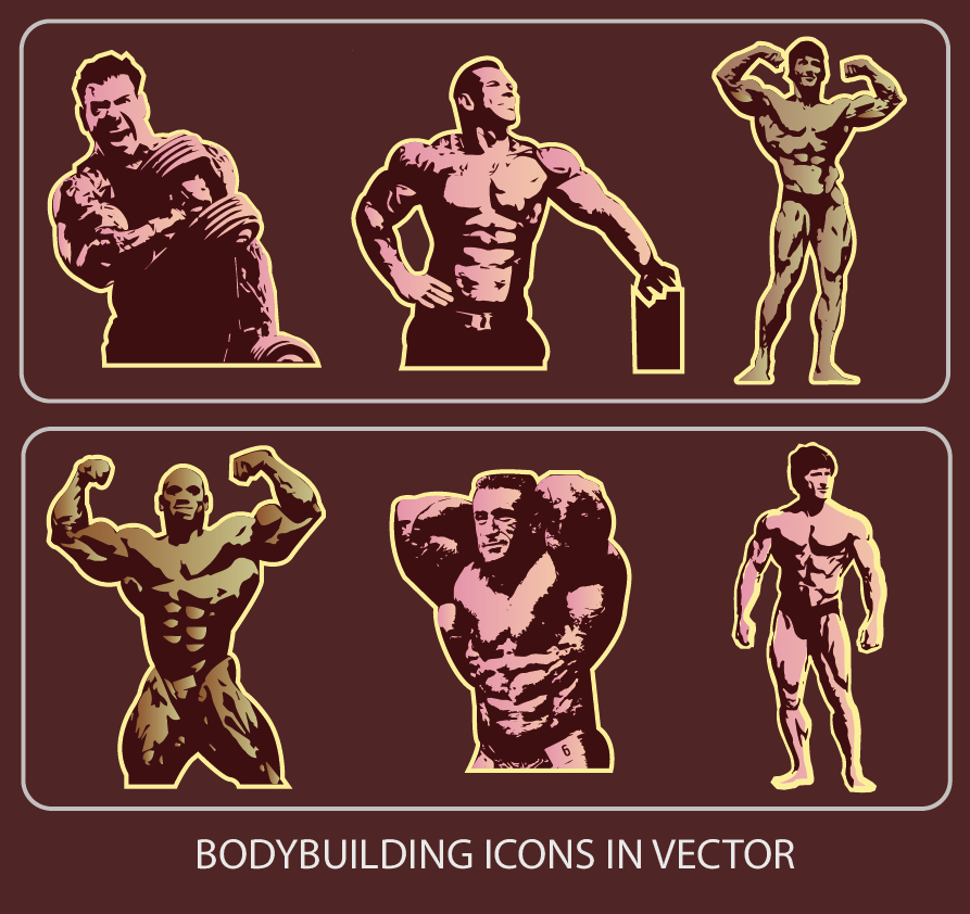 6 high quality body building icons in vector