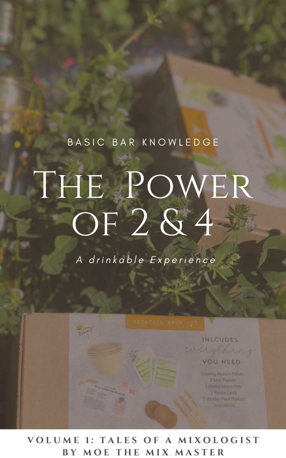 The Power of 2&4 (A Basic Bar Guide)