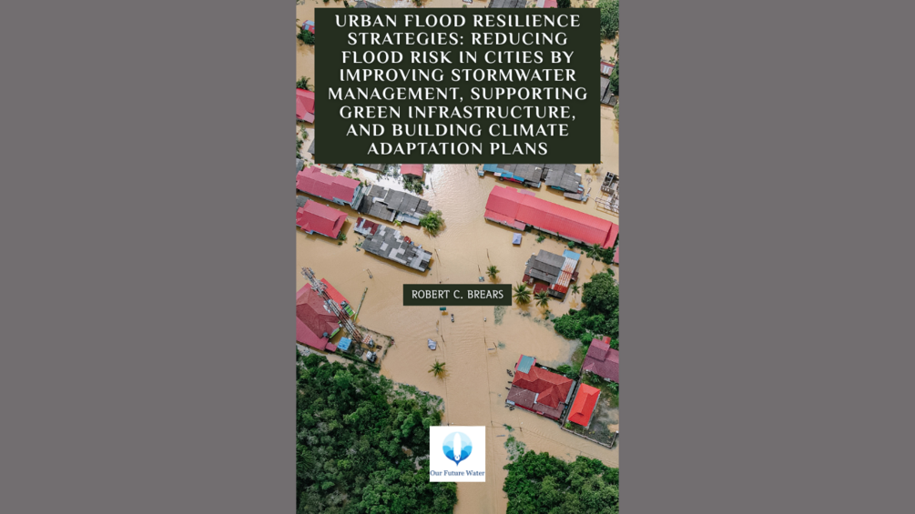 Urban Flood Resilience Strategies: Reducing Flood Risk in Cities by ...