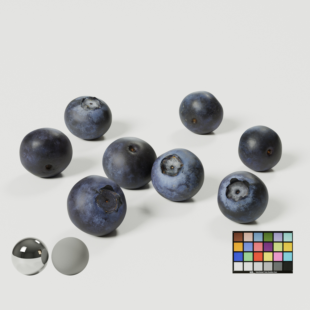 Blueberries - 4 Variations (3D/Digital)