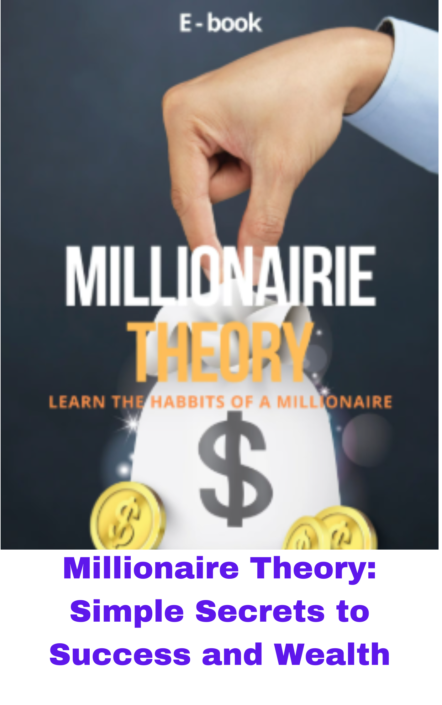 Millionaire Theory: Simple Secrets to Success and Wealth