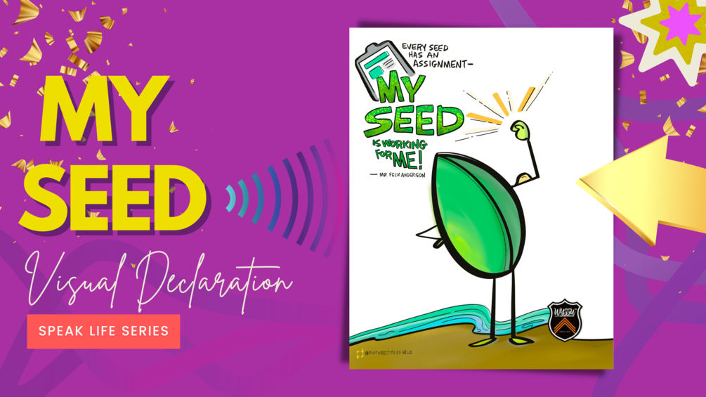 My Seed Visual Declaration