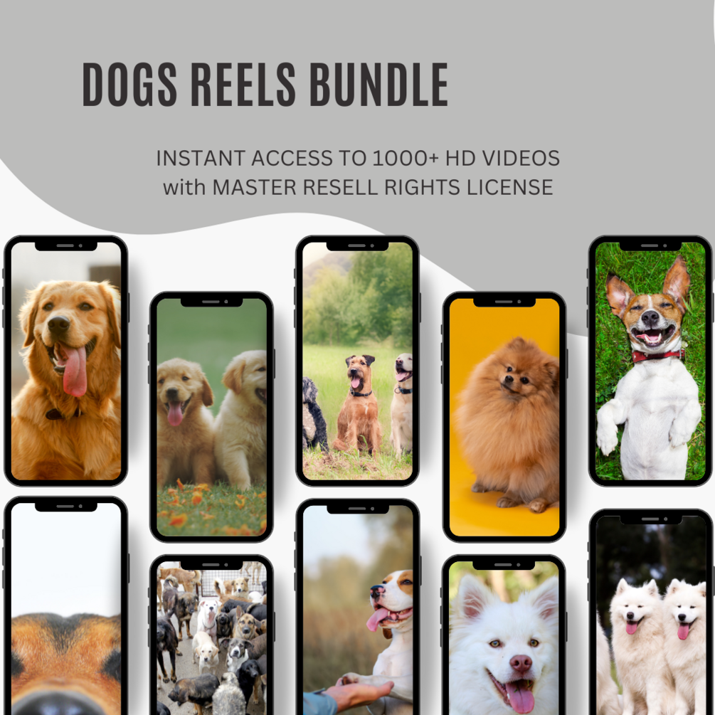 10,000+ Reels Short Videos Reels for Tiktok Instagram Facebook Youtube