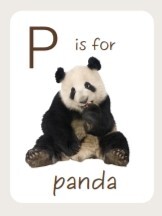 Flash Cards A-Z Printable pdf