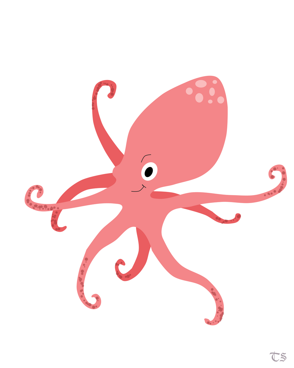 Curious Octopus