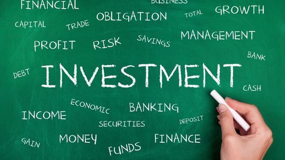 Financial Freedom Blueprint: Investing and Budgeting for Success