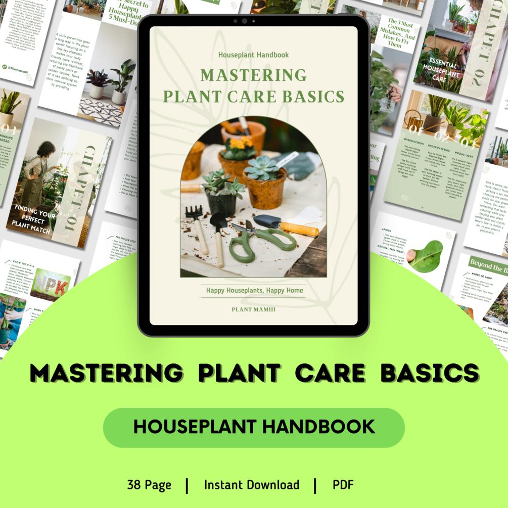 Mastering Plant Care Basics