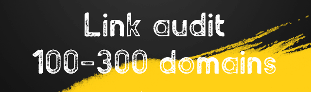Link Audit 300