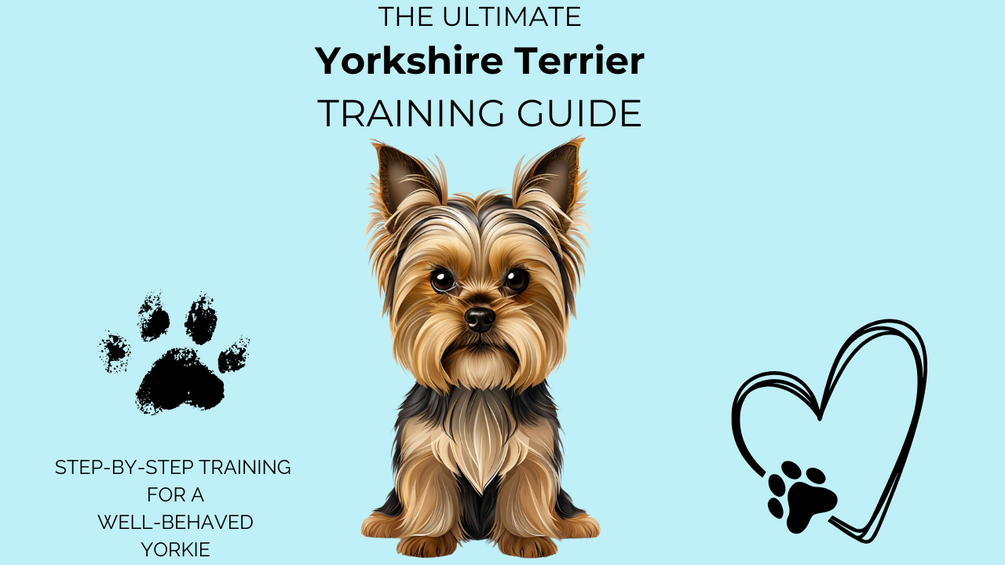 The Ultimate Yorkshire Terrier Training Guide 🐶