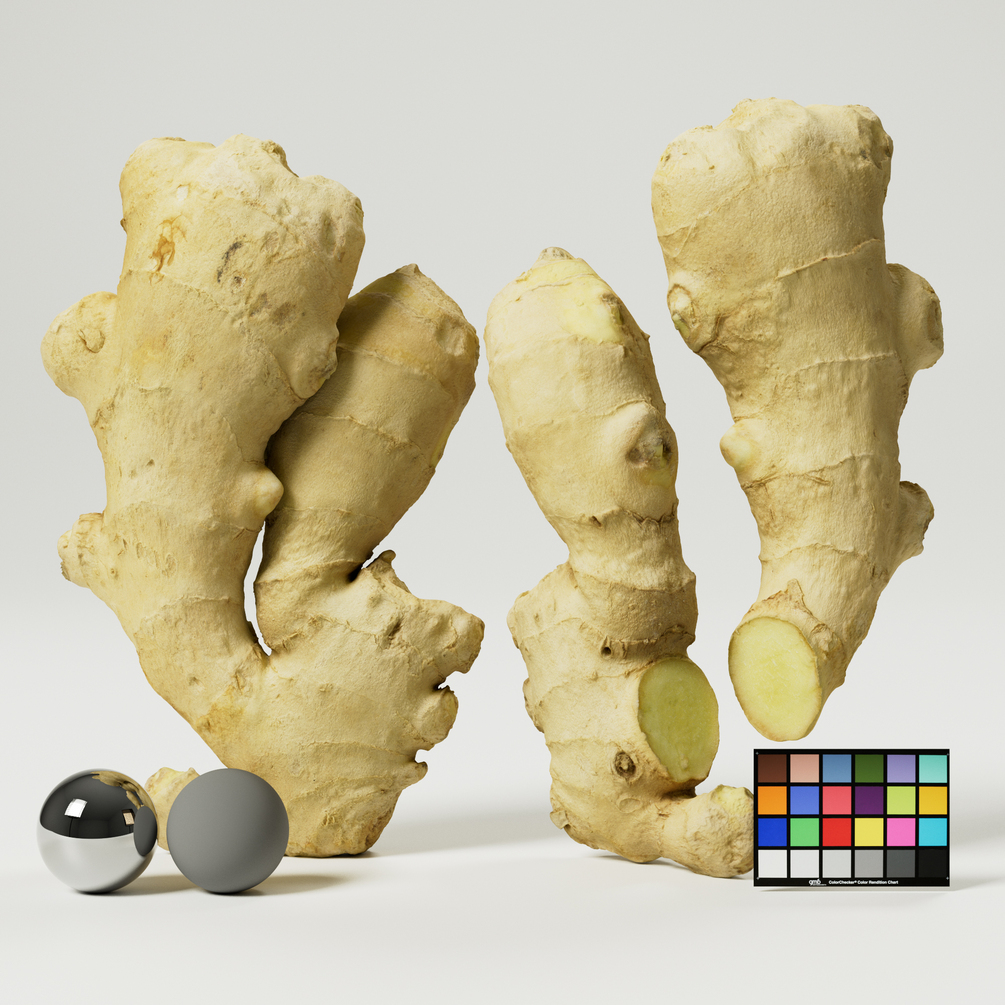 Ginger (3D/Digital)