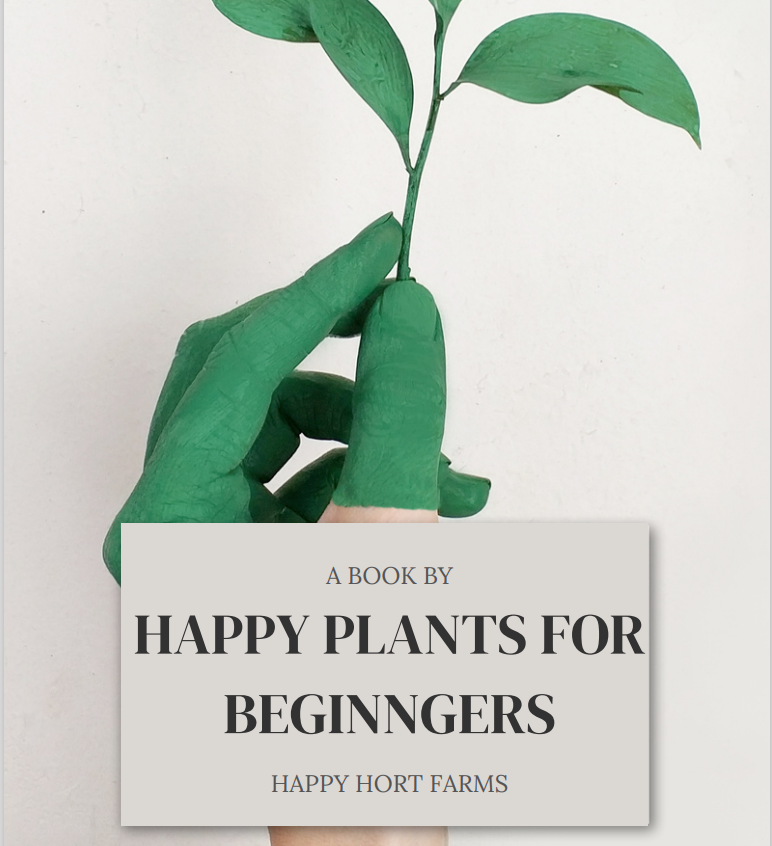 Happy Plants for Beginners