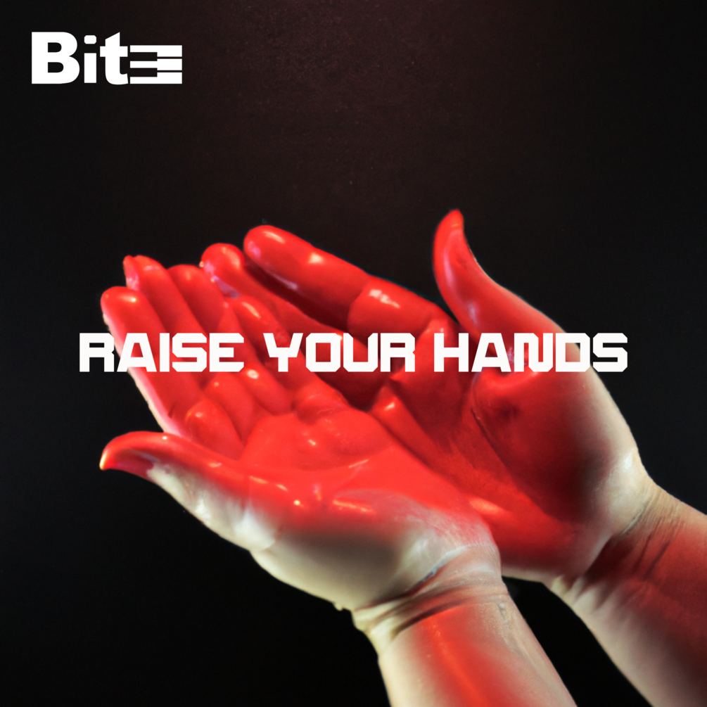 Bit3 - raise your hands (STEMS)