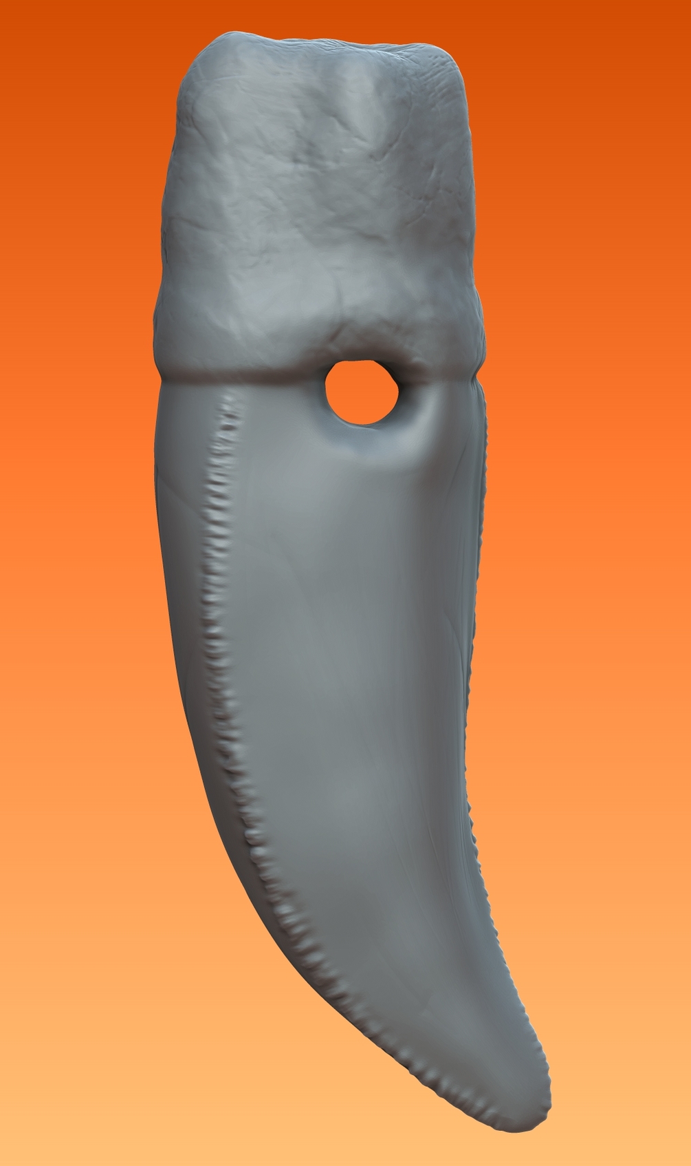 T - Rex tooth pendant necklace ( 1 variaton free) - 3D print