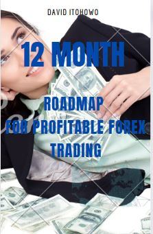 A 12 MONTH ROADMAP FOR PROFITABLE FOREX TRADING