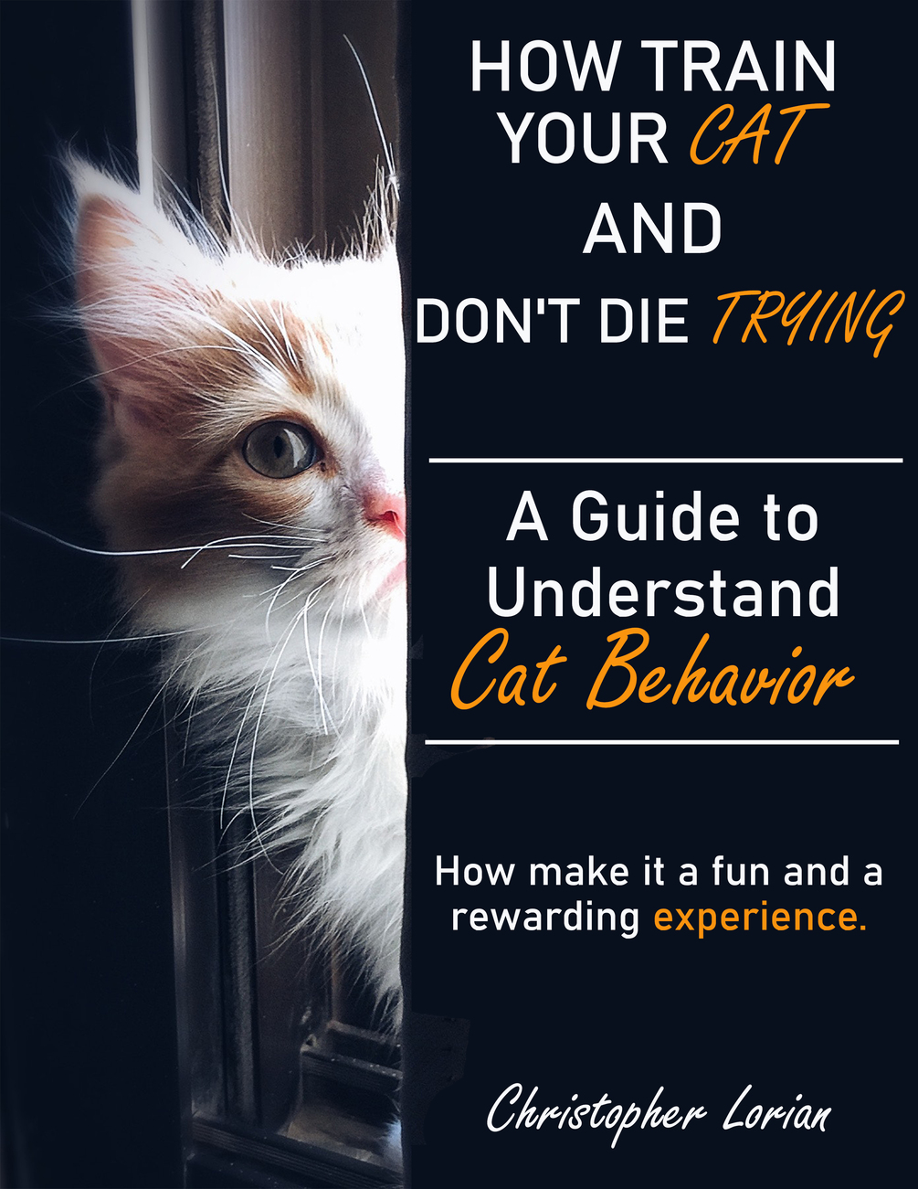 How to Train Your Cat And Dont Die Trying
