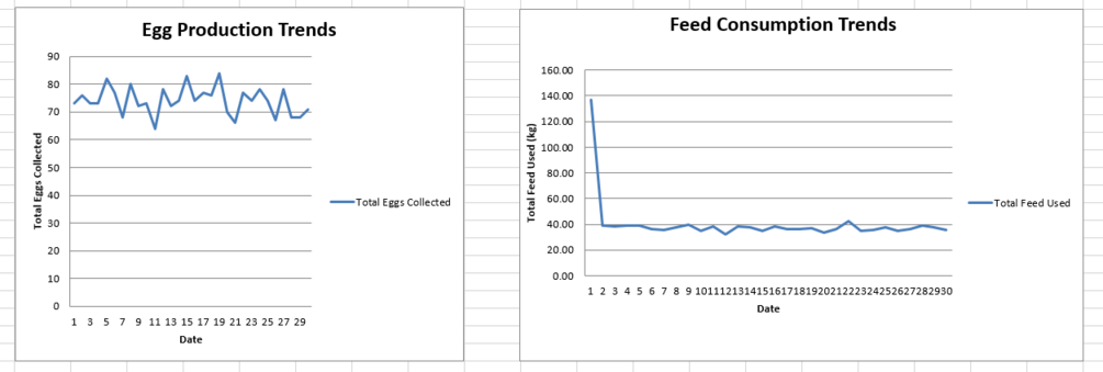 🐔 Chicken Production Management Templates - Streamline Your Chicken ...