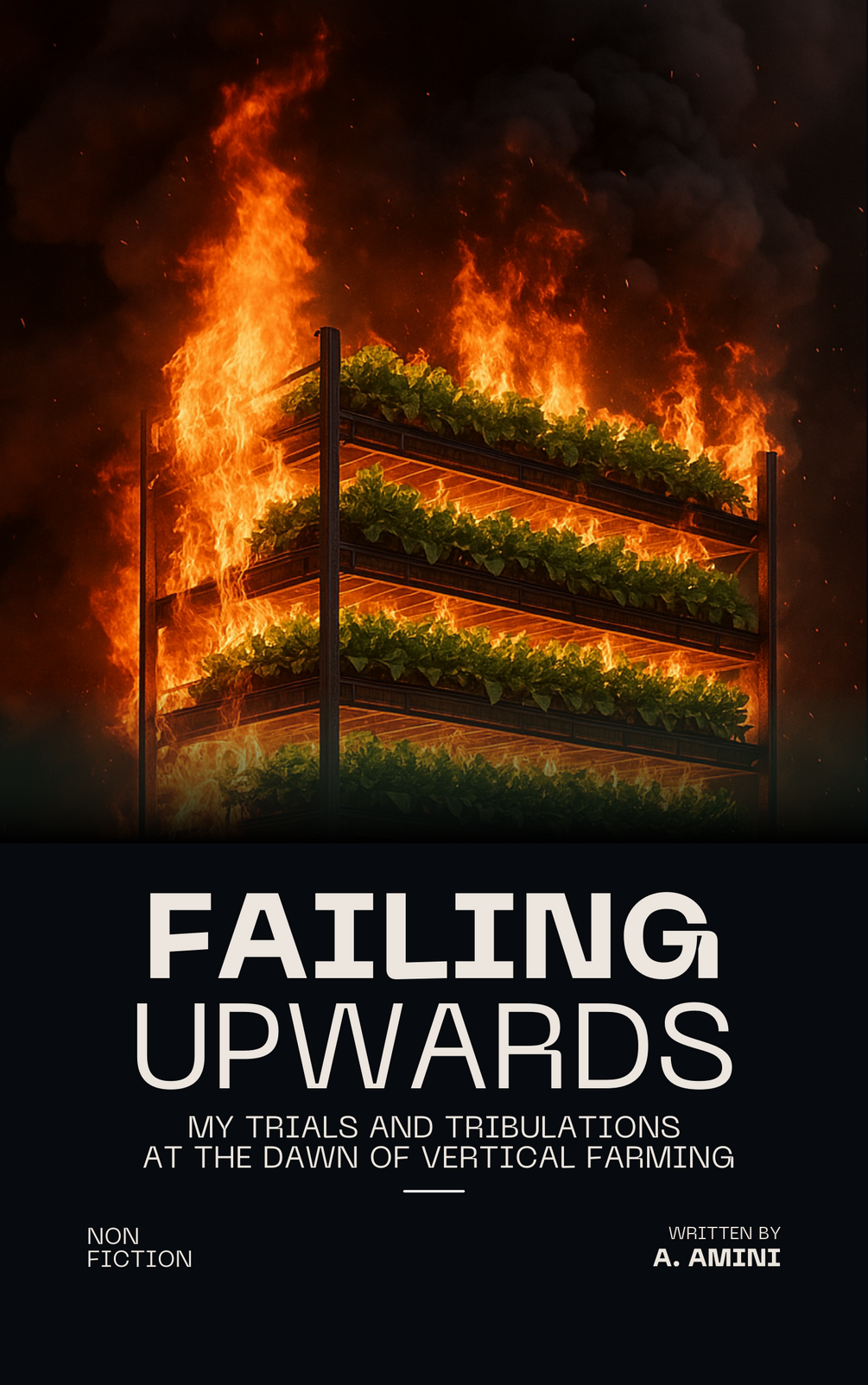 Failing Upwards: My trials and tribulations at the dawn of vertical ...