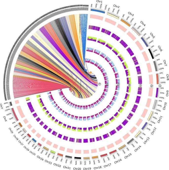 Research Development in Plant Genome Sequencing