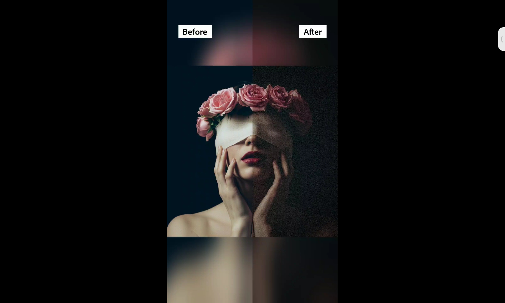 Aesthetic Creator Starter Kit — Notion Life OS + 26 Presets + 30 Canva ...
