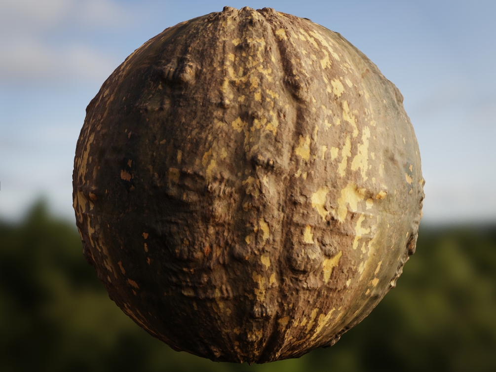 Assorted Tree Bundle