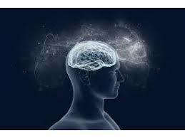 Reviva Brain Beat Formula For Boosting Brain Power And Memory