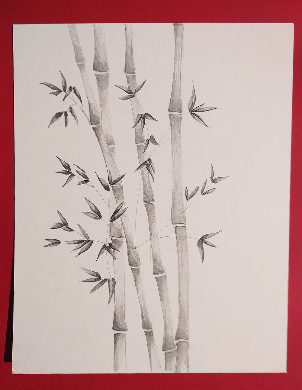 Graphite Drawing Tree