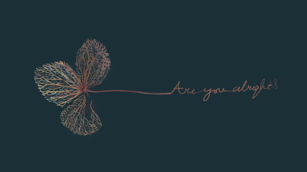 Are you alright?