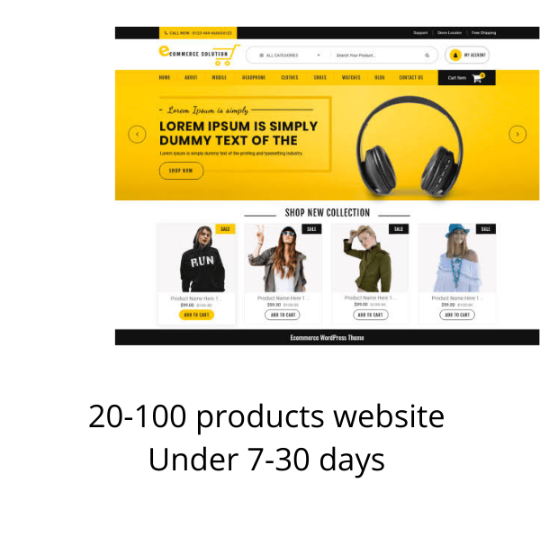 WordPress E-Commerce website