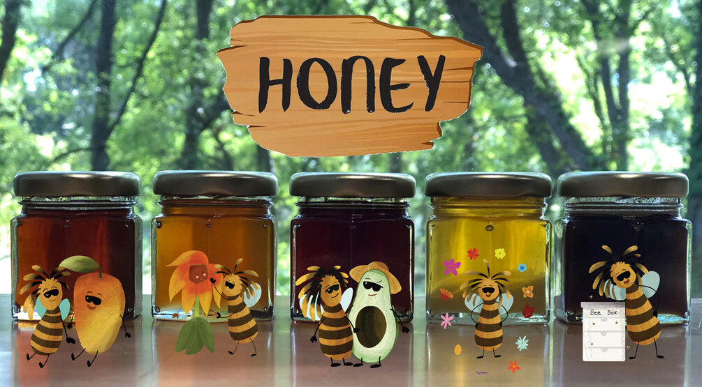 Raw Honey Sampler (5-pack)