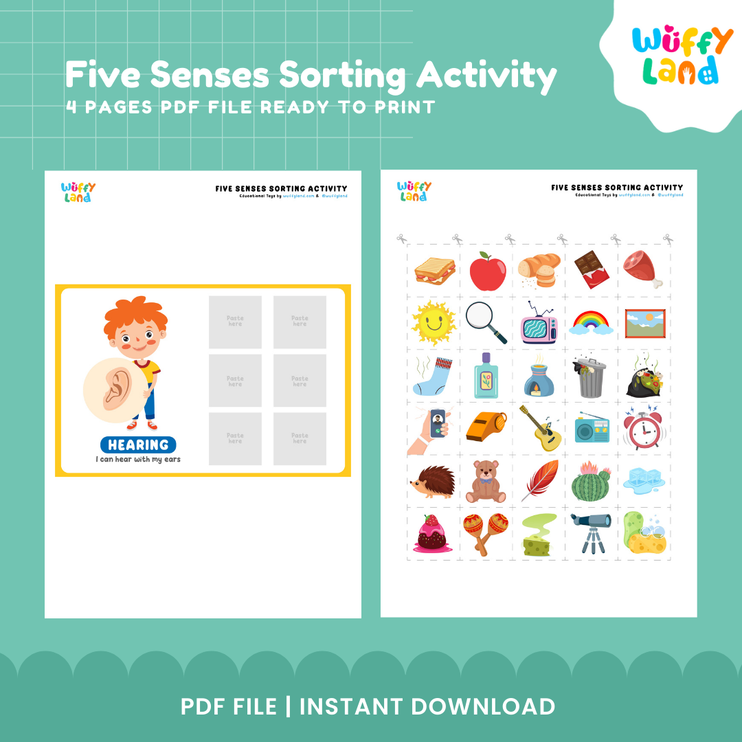 Five Sense Sorting Activity, 5 Sense Sorting, Toddler Preschool ...