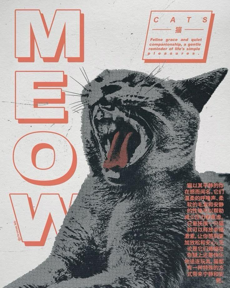 meow wall poster