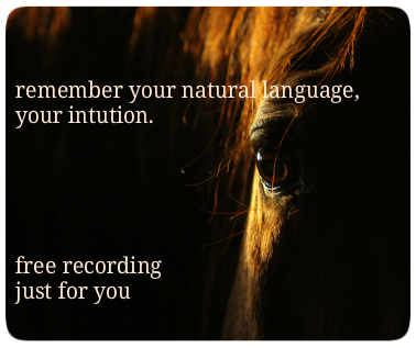 your body compass recording 1