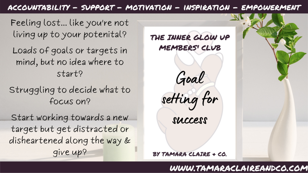 Goal setting for success [digital download workbook]