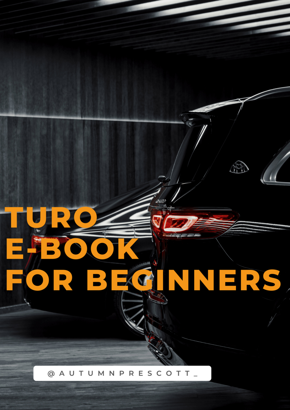 Turo E-book For Beginners