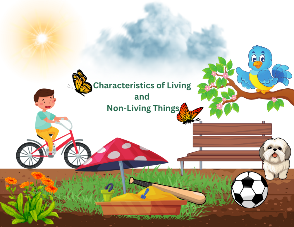 Living and Non-Living Things, Homeschooling Resource