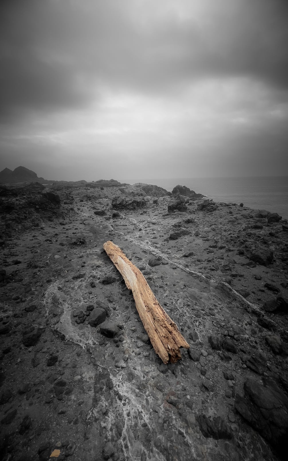 Wood log (B&W) 4K phone wallpaper