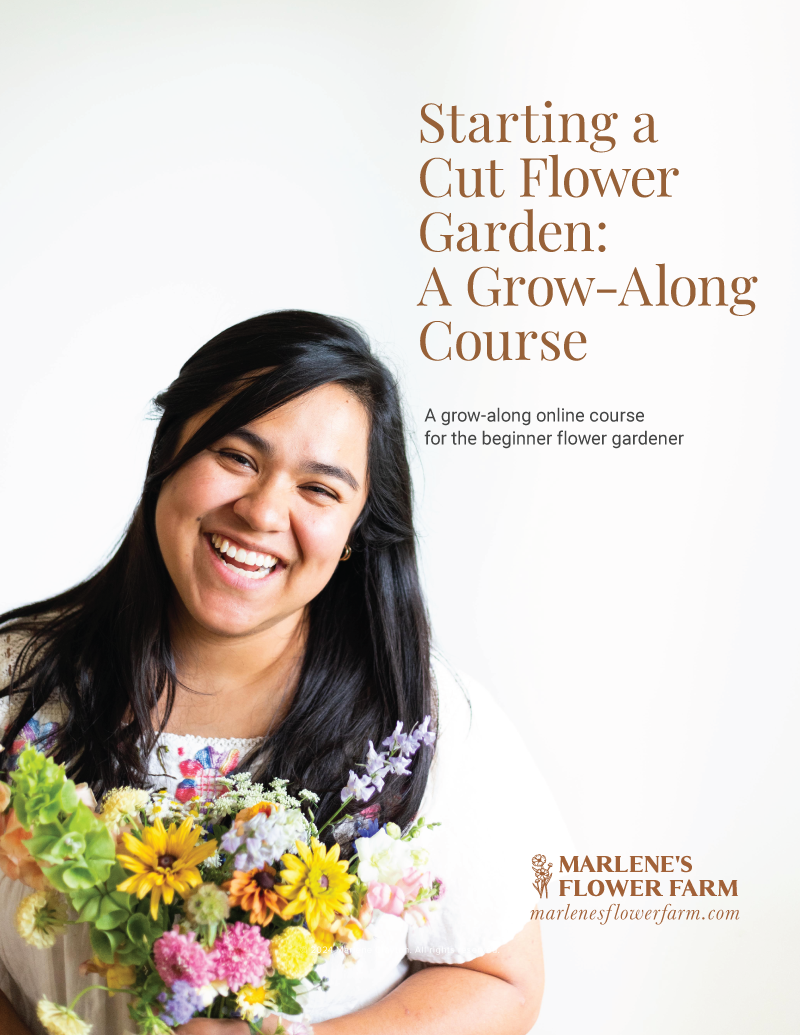Starting a Cut Flower Garden: Grow Along Course