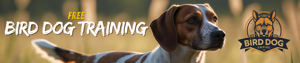 Bird Dog Empire FREE Real Estate Training