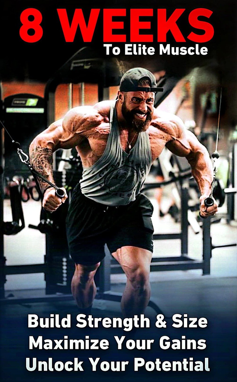 𝟴-𝗪𝗲𝗲𝗸𝘀 𝘁𝗼 𝗘𝗹𝗶𝘁𝗲 𝗠𝘂𝘀𝗰𝗹𝗲: 𝗬𝗼𝘂𝗿 𝗕𝗹𝘂𝗲𝗽𝗿𝗶𝗻𝘁 𝗳𝗼𝗿 𝗠𝗮𝘅𝗶𝗺𝘂𝗺 𝗚𝗮𝗶𝗻𝘀