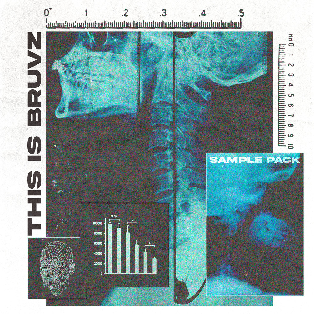 THIS IS BRUVZ - SAMPLE PACK VOL. 2