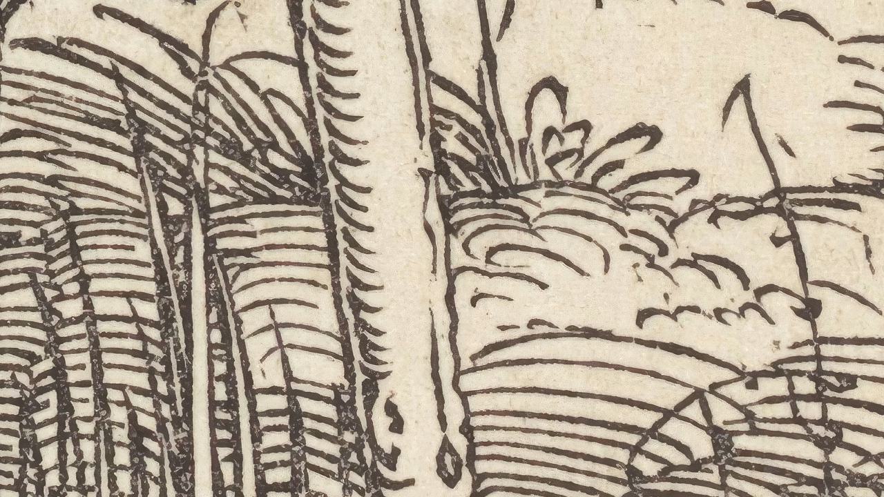 Saint Christopher by Albrecht Durer