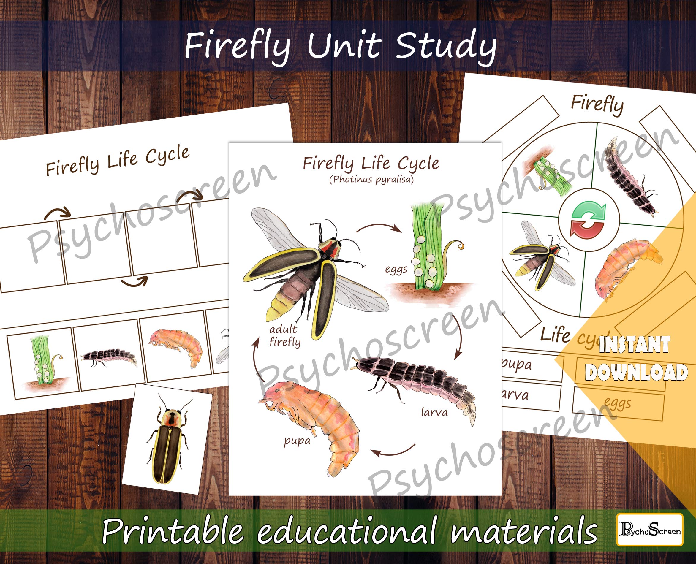 FIREFLY Unit Study: MEGA Printable fireflies set, Lighting bugs, insects
