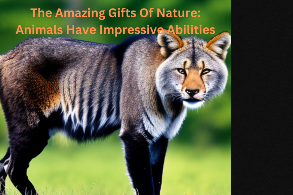 The Amazing Gifts Of Nature: Animals Have Impressive Abilities