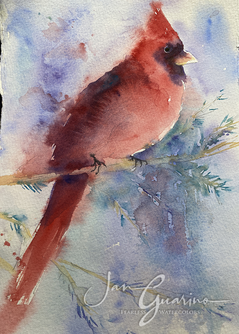 Three Cardinals ~ Full Length Video