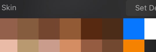 Skin color pallet