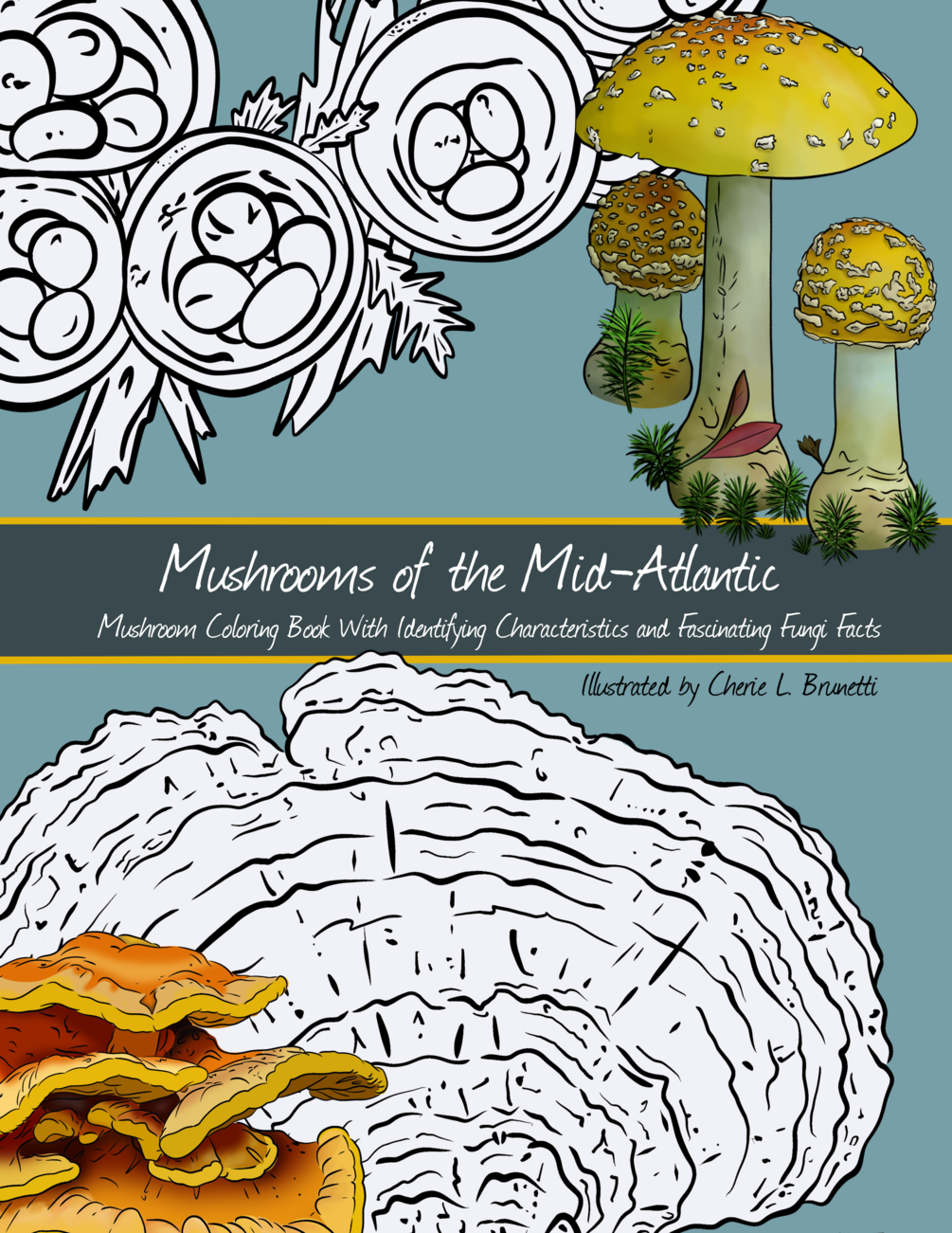 Mushrooms of the Mid-Atlantic: Mushroom Coloring Book with Identifying ...